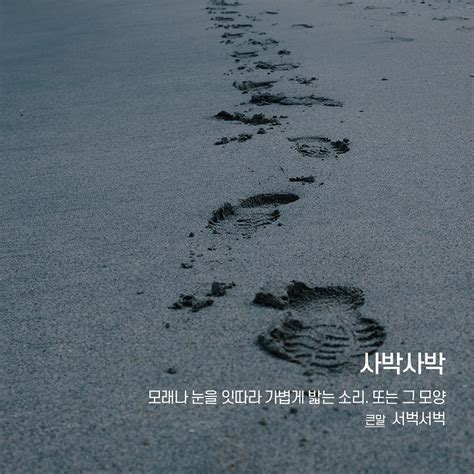 출판사 목수책방 목수책방 산책의언어 발견하고경험하게하는자연의말들 우숙영 지음 이민선 그림