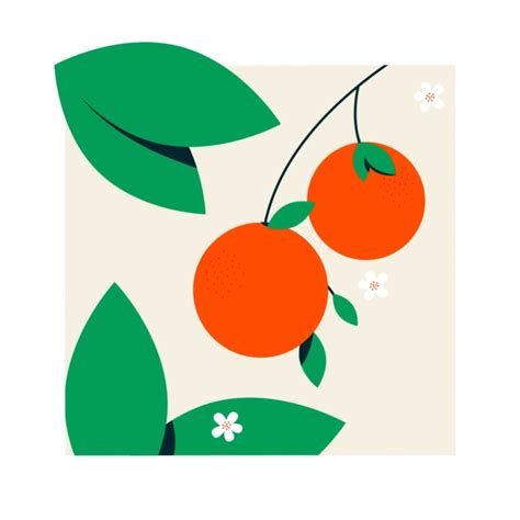 My Project For Course Creating Animated Stories With After Effects Domestika