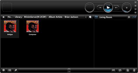 Tutorial 13 Multiple Album Artists MinimServer Tutorial SongKong