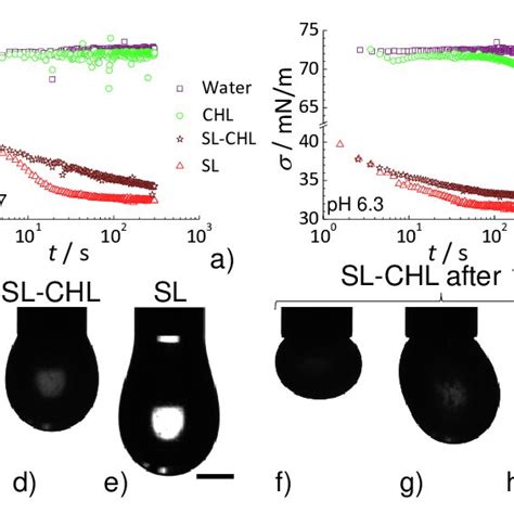 A B Dynamic Surface Tension Experiments Using The Pending Drop Download Scientific Diagram