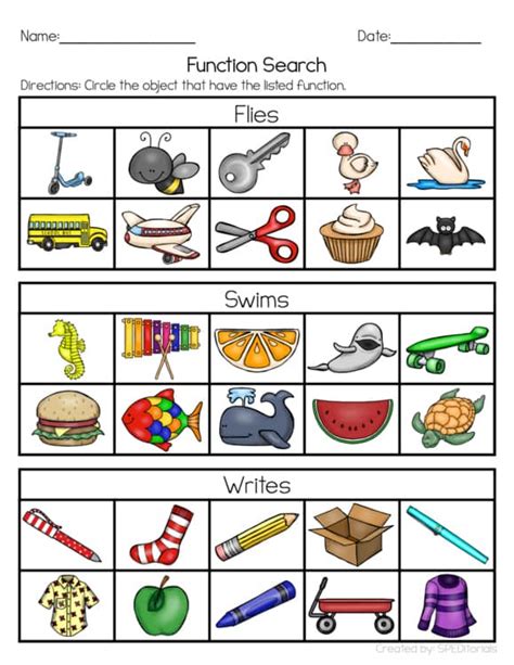 Feature Function And Class Worksheets By Speditorials Tpt