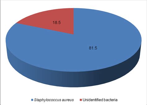 Percentage Of Staphylococcus Aureus Isolated From Mobile Phones