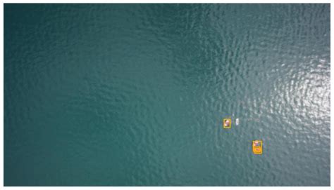 Fine Tuning Faster R Cnn On Searescue Dataset