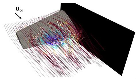 Three Dimensional Streamlines Over The Wing For 2 22 • And 600