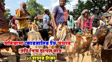 ঝিকরগাছা ছাগলের হাটে কোরবানির উপযোগী খাসি ছাগল প্রতি পিস মাত্র ১৩ হাজার টাকায় পাবেন Youtube