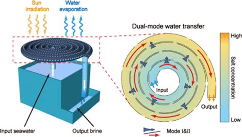 Spontaneous Salt Preventing Solar Thermal Water Evaporator With A High