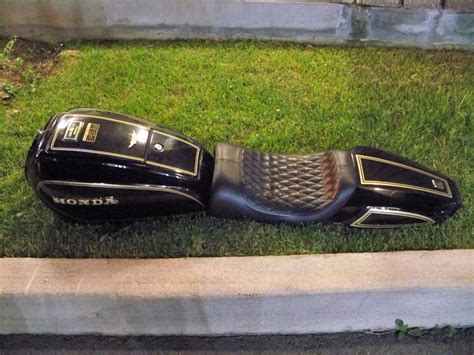 Dr Croog Really Naked Goldwing