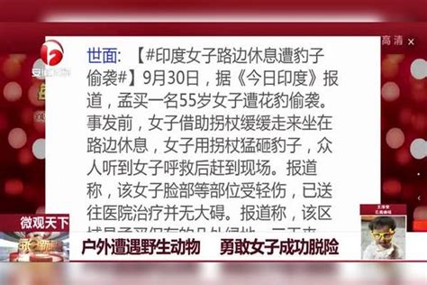 监控实拍！印度一女子路边休息遭豹子偷袭，绝境中“神操作”脱险豹子绝境偷袭