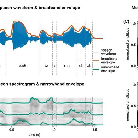 speech envelope and modulation spectrum a the speech waveform and