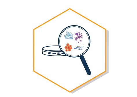 Ngs Testing For Adventitious Agent Detection Virusure