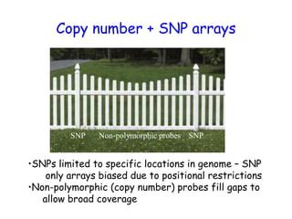 ArraySNP Tsuchiya2012 Ppt