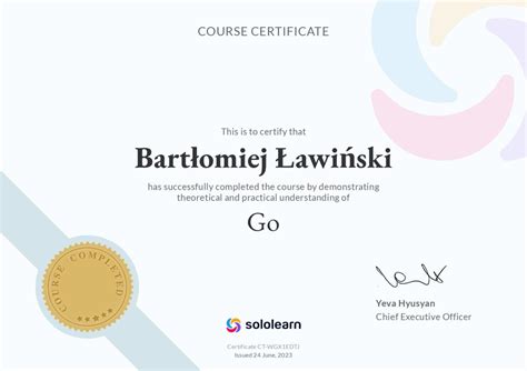 Bartłomiej Ławiński On Linkedin Go Golang Course Sololearn