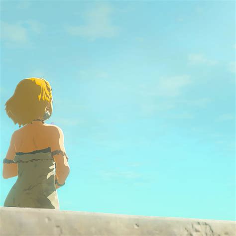 Princess Zelda And Link Kissing