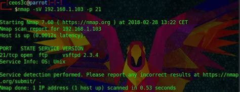 Сканирование портов и проверка версии протокола в Netcat