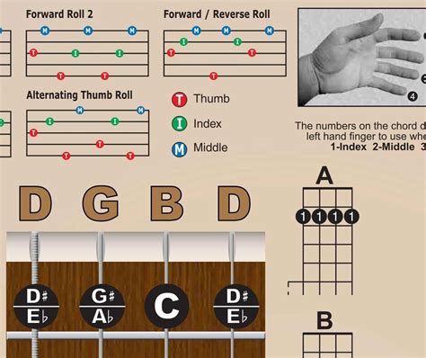 Laminated Banjo Chord Chart Poster Fretboard Grelly Usa