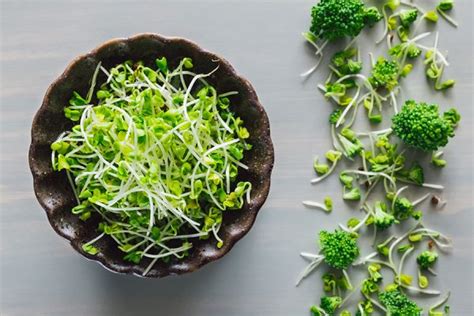 Australian Certified Organic Broccoli Sprouts Byron Inspired