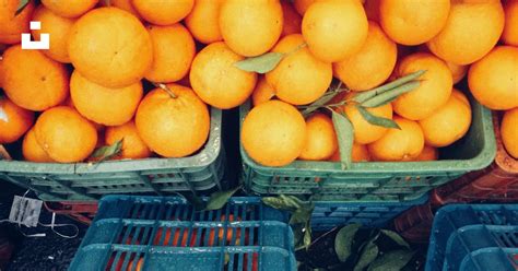 파란색 플라스틱 상자에 담긴 오렌지 과일 사진 Unsplash의 무료 이란 이미지