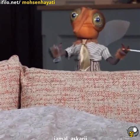 کلیپ خندار پشه خواننده لایک کامنت یادتون نره فیلو