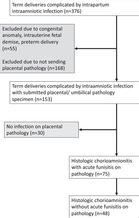 Maternal And Peripartum Risk Factors For Acute Funisitis Among Term