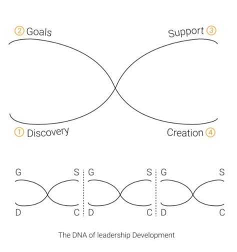 Reorganizations Layoffs Transformation Objectives Development