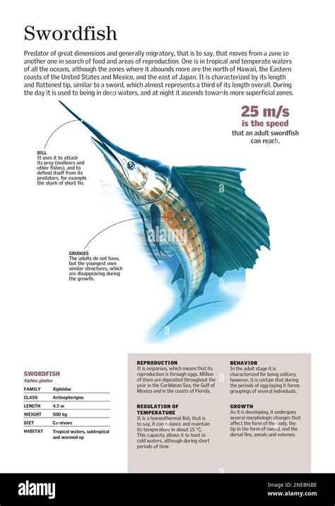 Swordfish Diagram