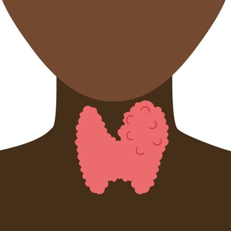 Healthy Thyroid Gland On Neck Silhouette Diagram Vector Image