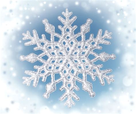 Rotational Symmetry In Real Life Introduction To Symmetry