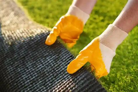 How To Lay Sod Over Existing Lawn