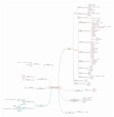 Dragon Taxonomy Fandom