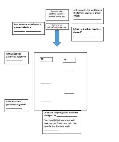 Solved Assignment Make A Flowchart Fill In The Blanks Chegg