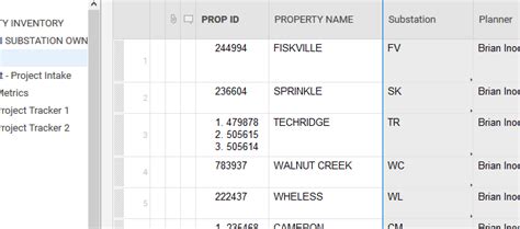 Populate Column With Names By Project Smartsheet Community