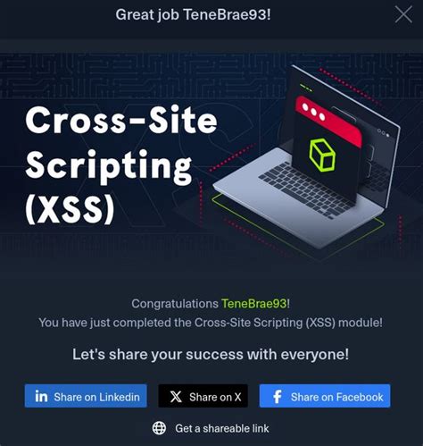 Really Excellent Module On Cross Site Scripting Kudos To The Hack The
