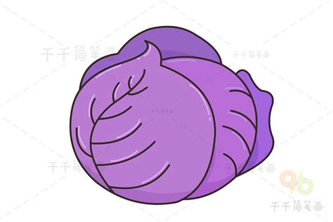 甘蓝菜简笔画 紫甘蓝简笔画 大山谷图库