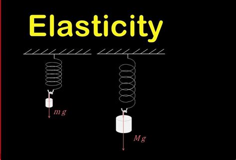 6 Key Concepts Of Elasticity And Elastic Forces