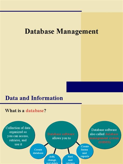 Introduction To Database Management Tp4 Pdf Databases Data