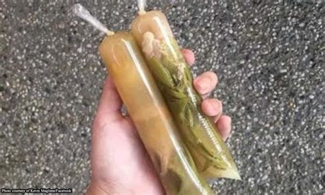 Bibili Ka Ba Sinigang Ginawang Ice Candy