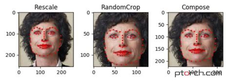 Pytorch加载数据与预处理数据 Pytorch中文网
