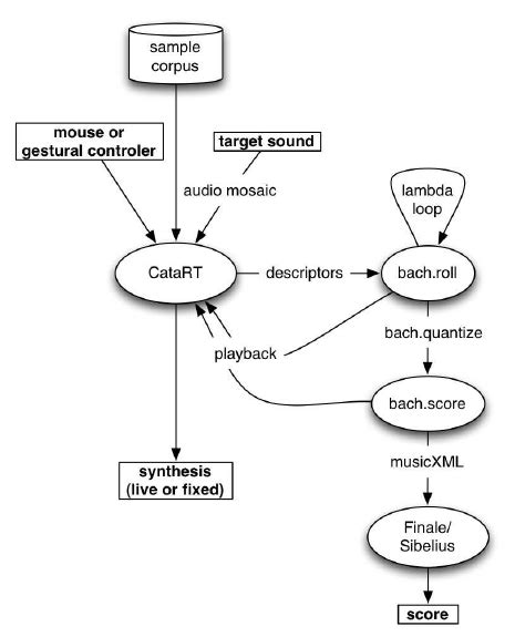Flowchart For Transcription Sequencing And Notation With C Ata Rt And The Best Porn Website