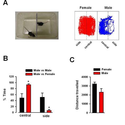Behavioral Test For Sexual Attraction A Photograph And Diagram Of Download Scientific