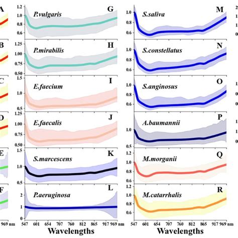 Spectral Profiles Of 22 Species The Species In The Same Genus Are