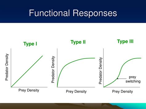 Ppt Predation Powerpoint Presentation Free Download Id 3087087