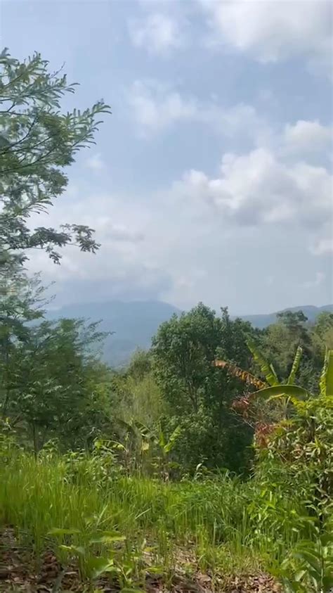 ขายด่วน ที่ดินวิว เขา เจ้าของขายเอง ที่ดิน 27 ไร่ สค 1 ราคายกแปลง 7 แสน 5 หมื่น บาท ที่ดิน