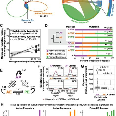 Tissue Specific Enhancers Are Associated With Tissue Specific And
