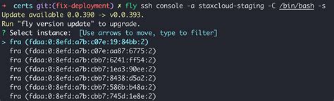 Fly Ssh Console S Keeps Showing Old VMs Fly Io