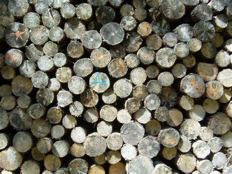 무료 이미지 록 구조 목재 마노 돈 흙 자료 자갈 트렁크스 통화 3072x2304 1010618 무료 이미지 Pxhere