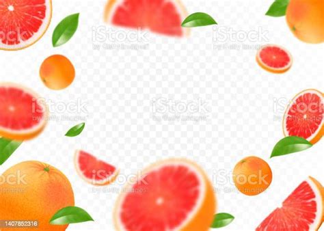 현실적인 3d 비행 자몽 투명한 배경에 떨어지는 자몽 과일 감귤류 배경 고립 된 전체와 잎이있는 육즙이 많은 과일 조각 초점이 맞춰지고 흐릿한 개체 광고를위한 벡터 원활한