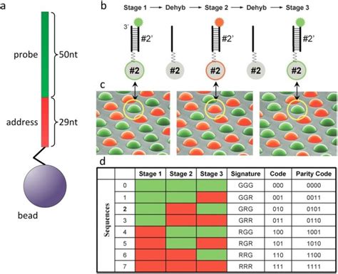 Particle Based Microarrays Of Oligonucleotides And Oligopeptides Abstract Europe Pmc