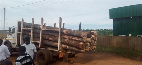 Kulubya Brian On Linkedin People Health Future Construction