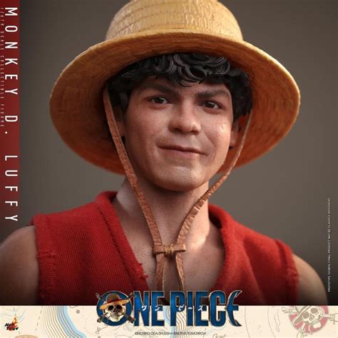 익스트림무비 핫토이 원피스 실사판 루피 로로나 조로 1 6 스케일 컬렉터블 피규어