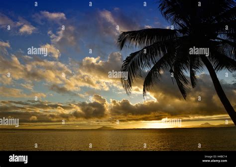 Sunset With Palm Tree On The Beach Of Ankify Eastern Madagascar